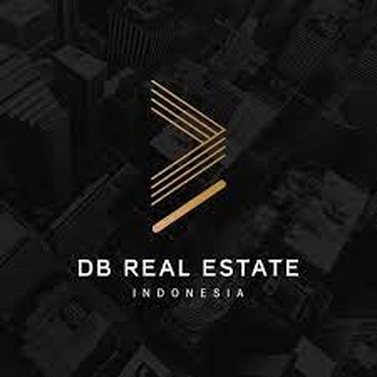 Lowongan Videographer & Editor di DB Real Estate, Tangerang (Closed ...