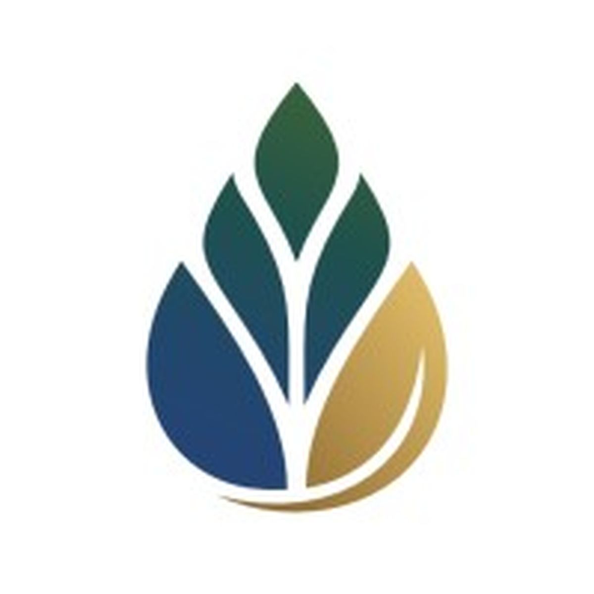 Lowongan Software Engineer di ORIMBA, Samarinda (Closed) | Glints