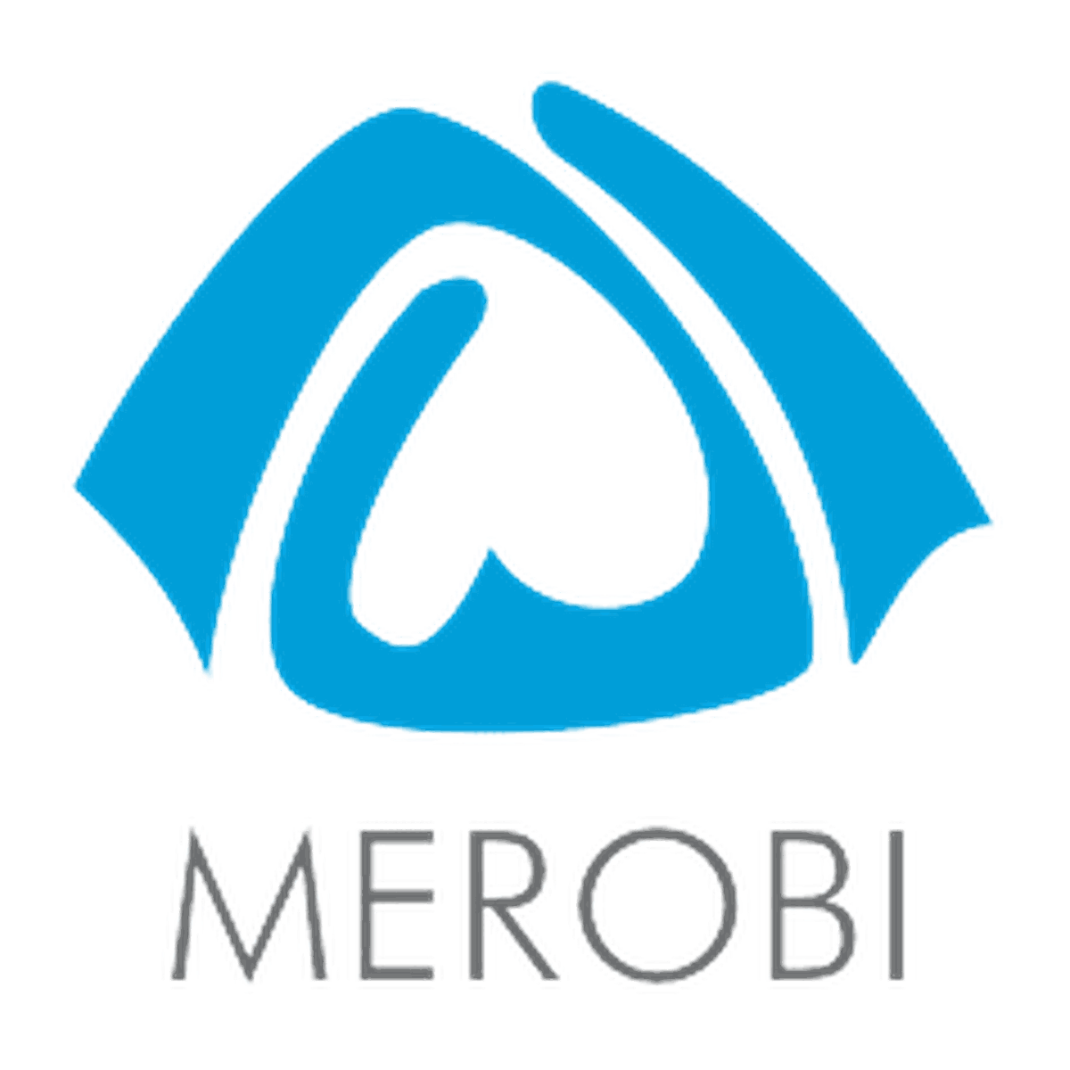 Lowongan PELAKSANA LAPANGAN BAJA RINGAN di PT. Merobi Fastbuild ...