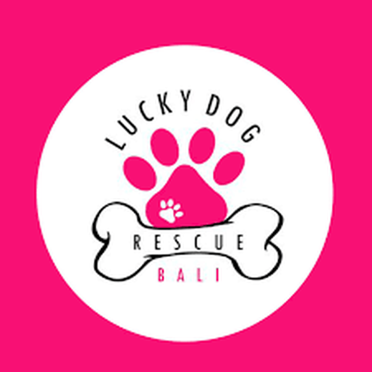 Lowongan Staff Kennel di Lucky dog rescue bali, | Glints