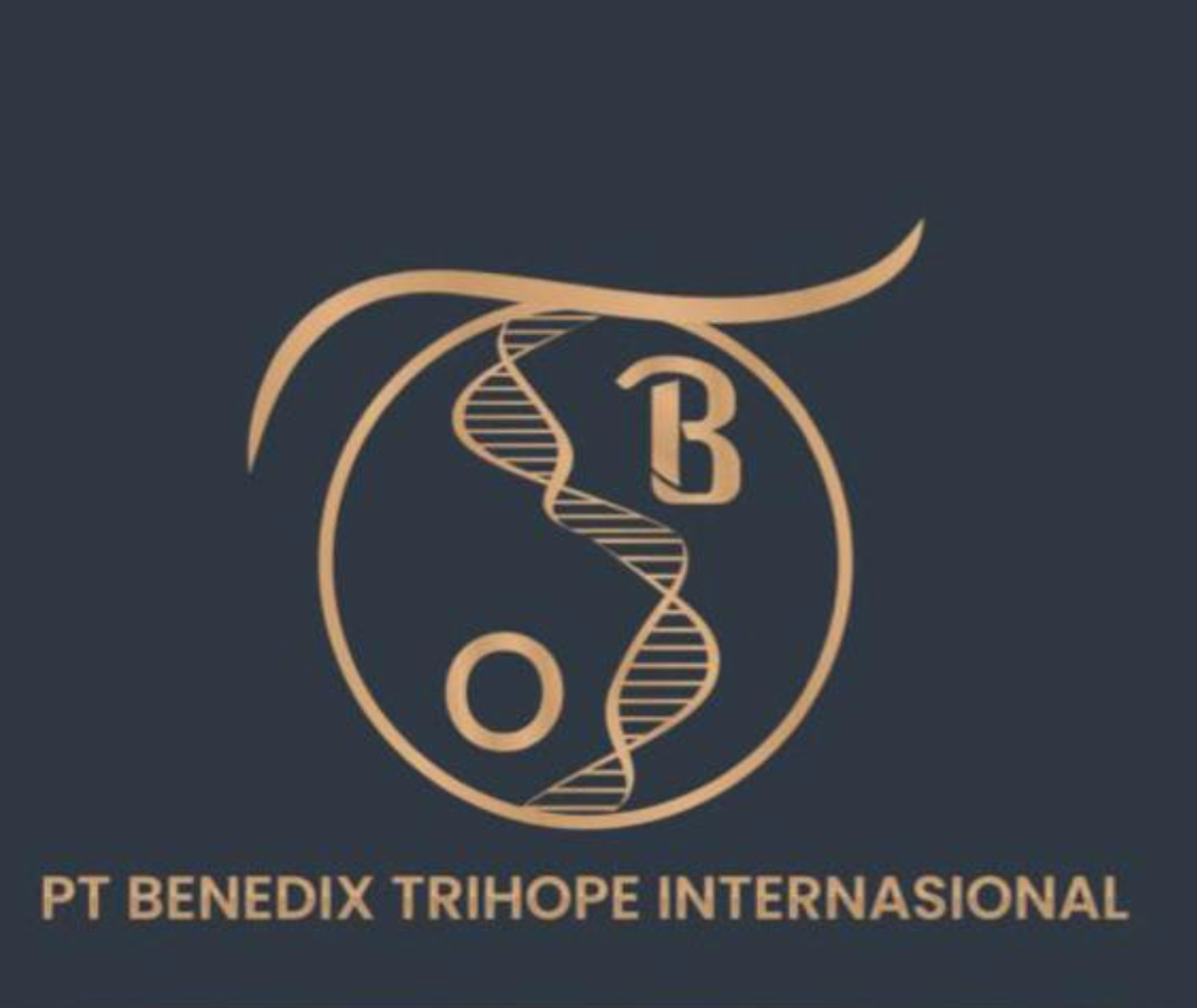 Lowongan Supir Pribadi di PT.Benedix Trihope International, Jakarta ...