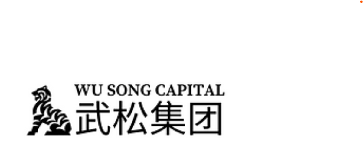 Impact Investment and Startup Intern Jobs at Wu Song Capital, Singapore ...