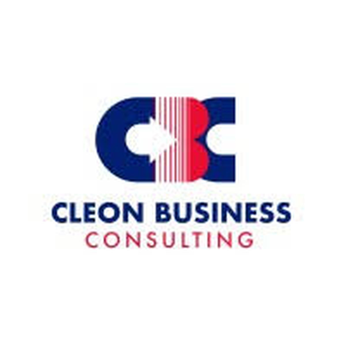 Lowongan Junior Tax Associate (Bali) di Cleon Business Consulting ...