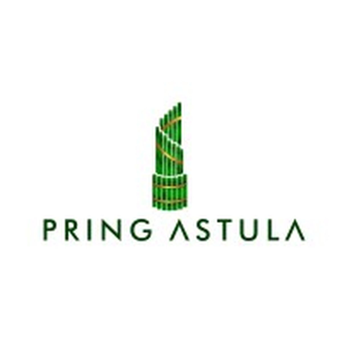 Lowongan Sales Specialist di PT Pring Astula Indonesia, Jakarta Pusat ...