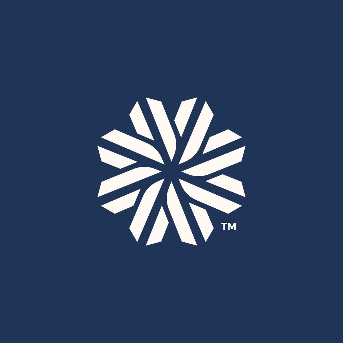 Lowongan content videographer di Aruna Creative Studio, Semarang ...